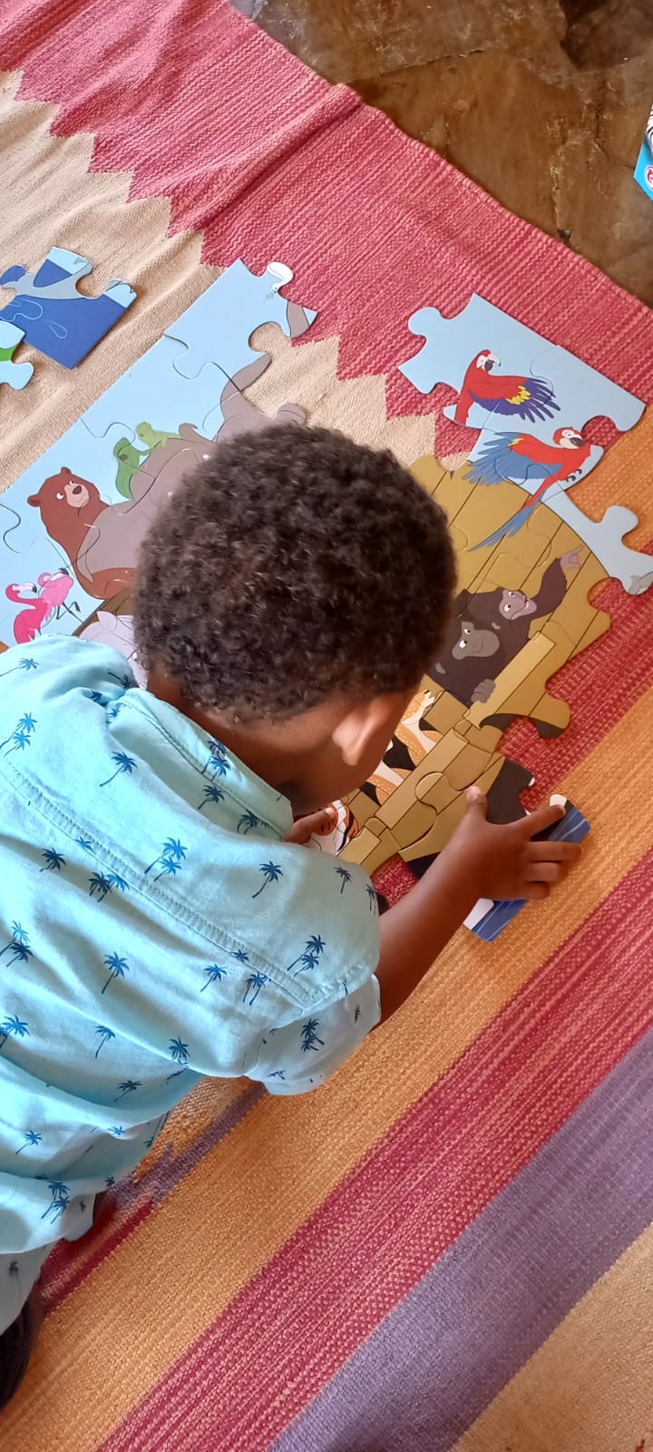 Twiga: The Infant Program - Red Coral Montessori School